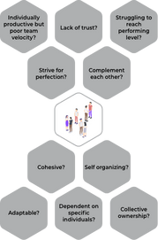 Beyond Software Engineering